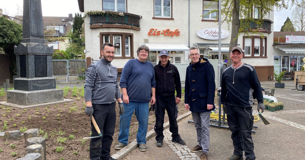 Neue Pflanzen auf dem Lindenplatz | Gemeinde Kriftel – Obstgarten des ...