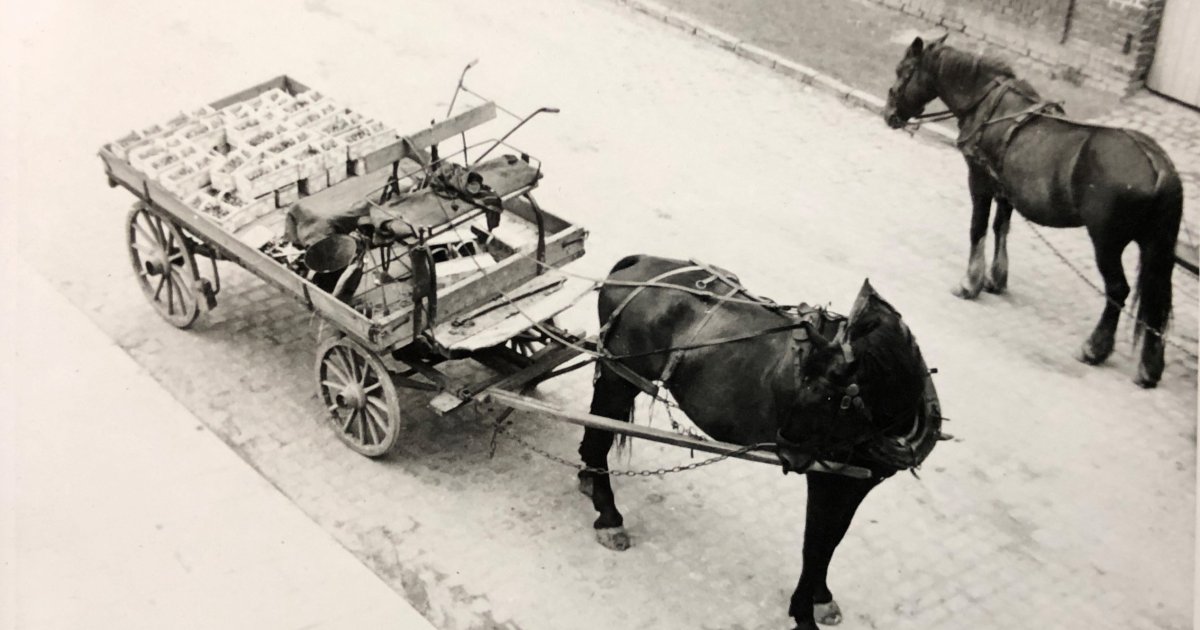 Fund aus dem Heimatmuseum (Teil 2) | Gemeinde Kriftel – Obstgarten des ...